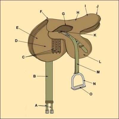 Quiz Les différentes parties de la selle, du filet et du licol