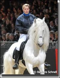 Quizz Races de chevaux : le Frison - Quiz Chevaux, Races, Frison