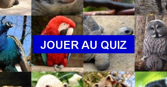 Quizz Les animaux du zoo - Quiz Animaux, Parle, Zoo